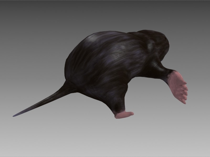 3d mole animation digging