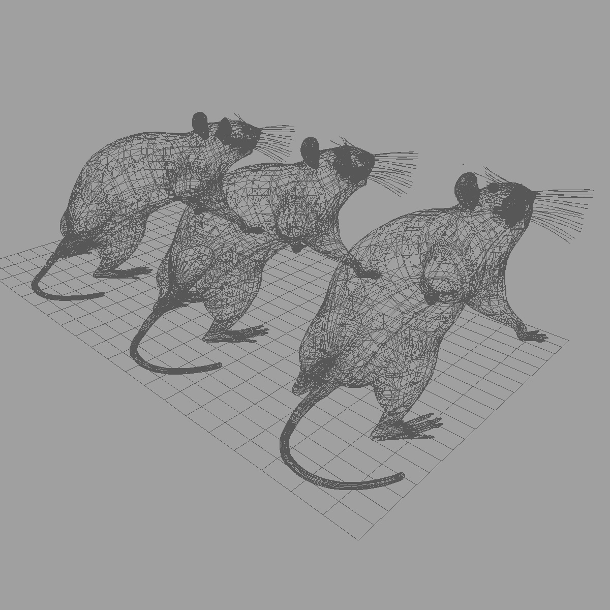 3d model of 3 rats animations