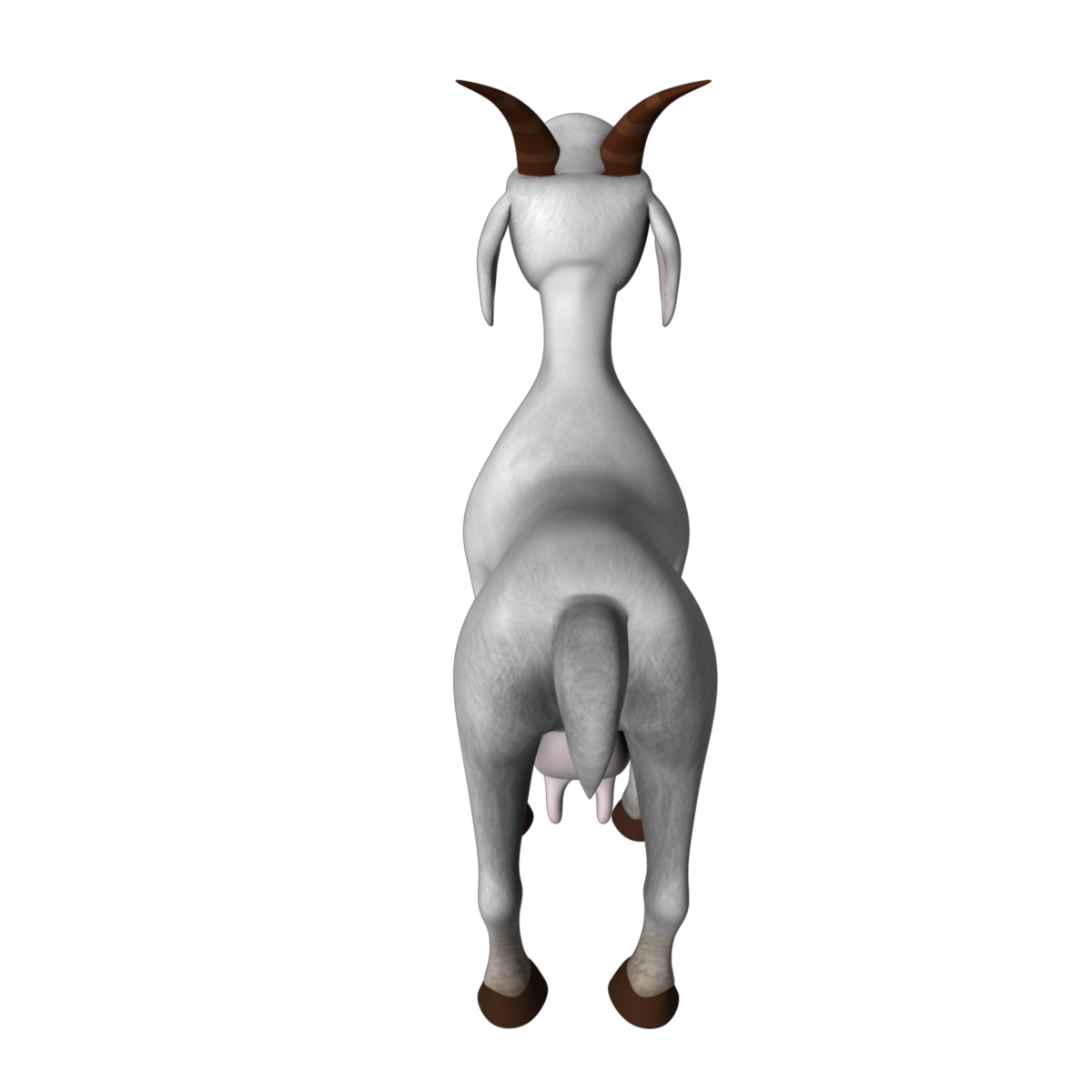 3d model of goat animation