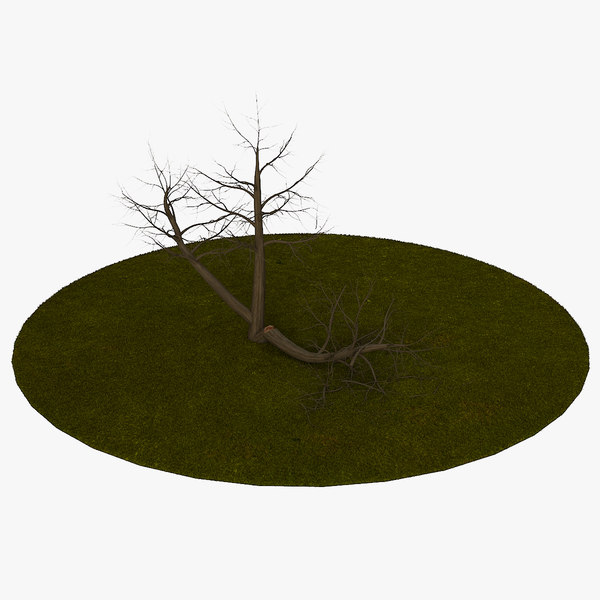 tree 5 branches 3d model