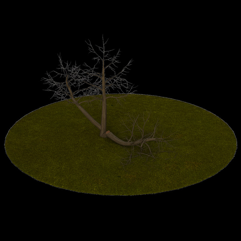 tree 5 branches 3d model