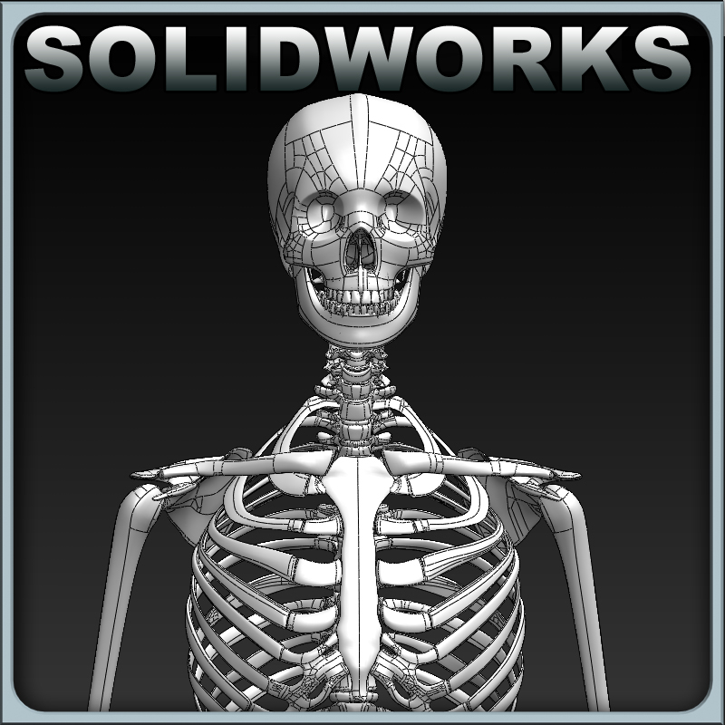 modelo 3d Esqueleto de solidworks - TurboSquid 789358