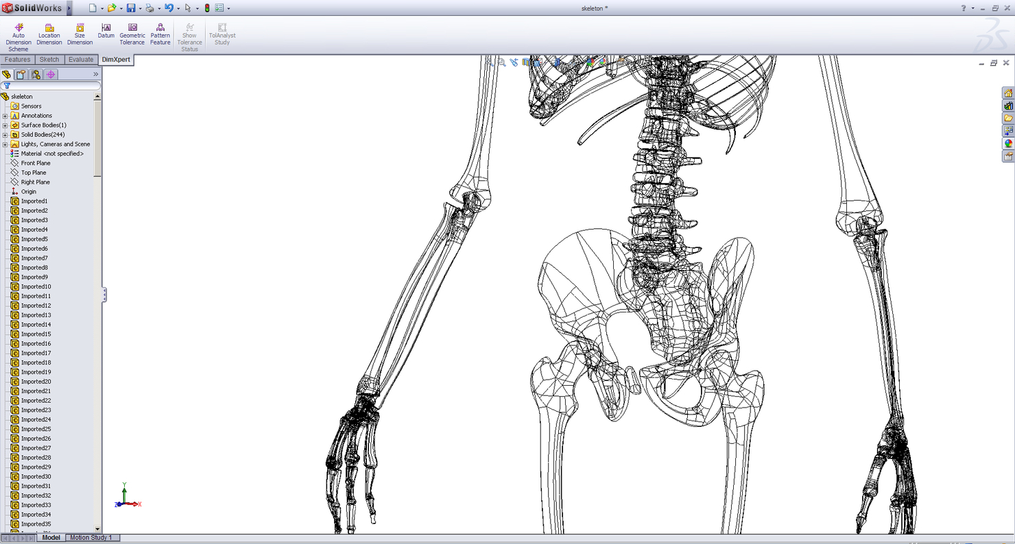 3d 3dm solidworks skeleton