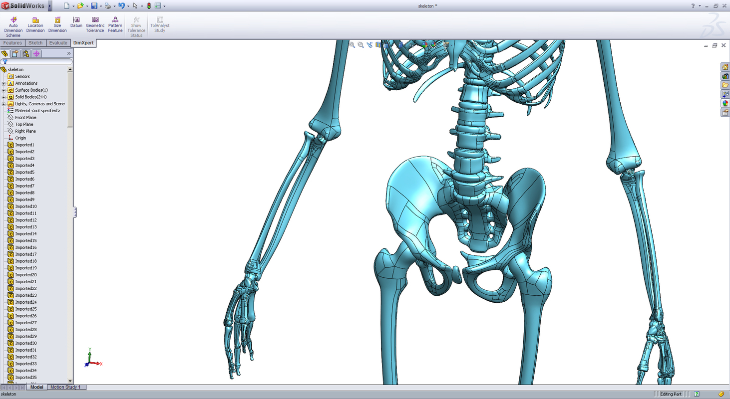 3d 3dm solidworks skeleton
