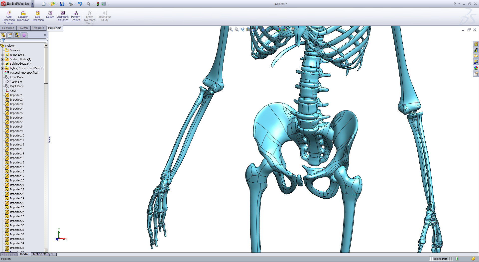 3d 3dm solidworks skeleton