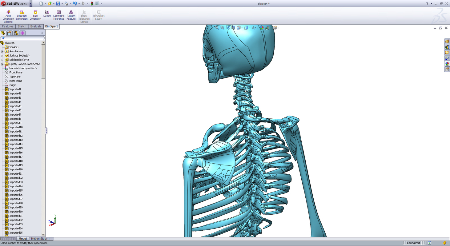 3d 3dm solidworks skeleton