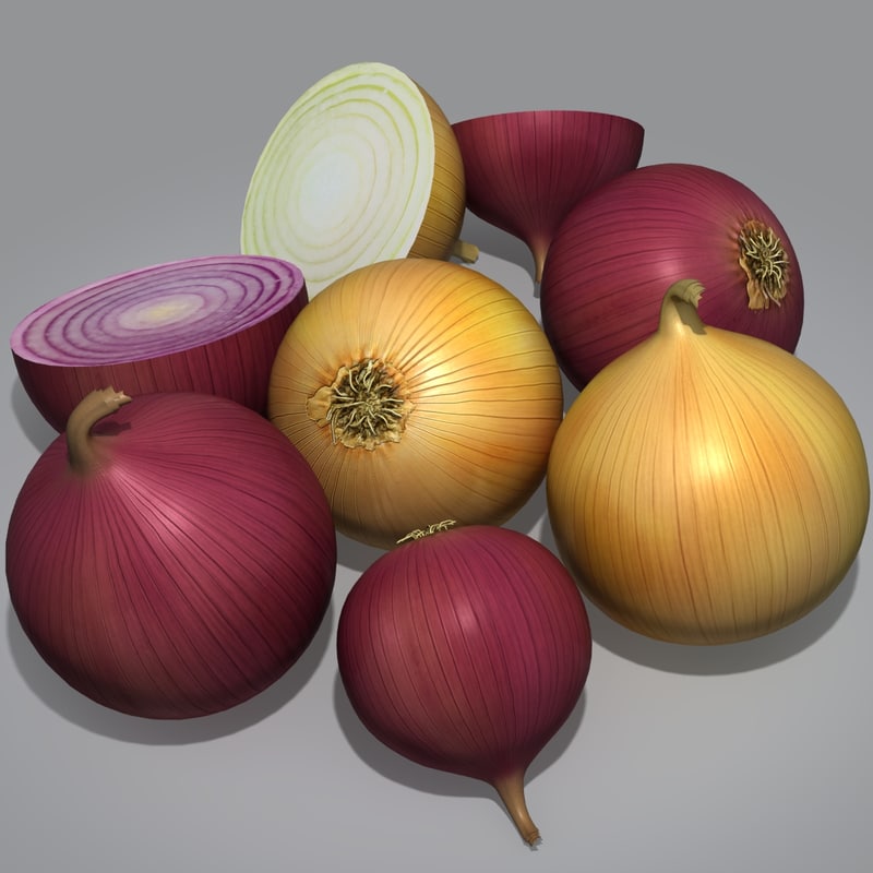 obj realistic onions