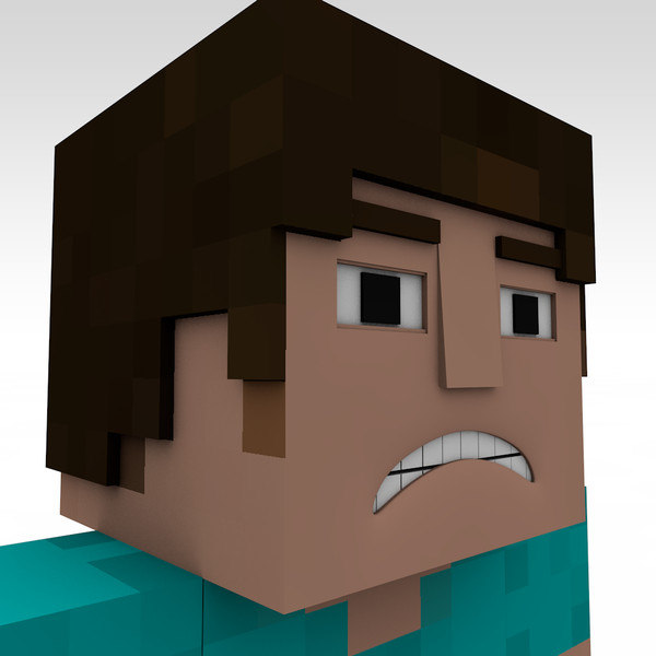 3d minecraft beginner rig