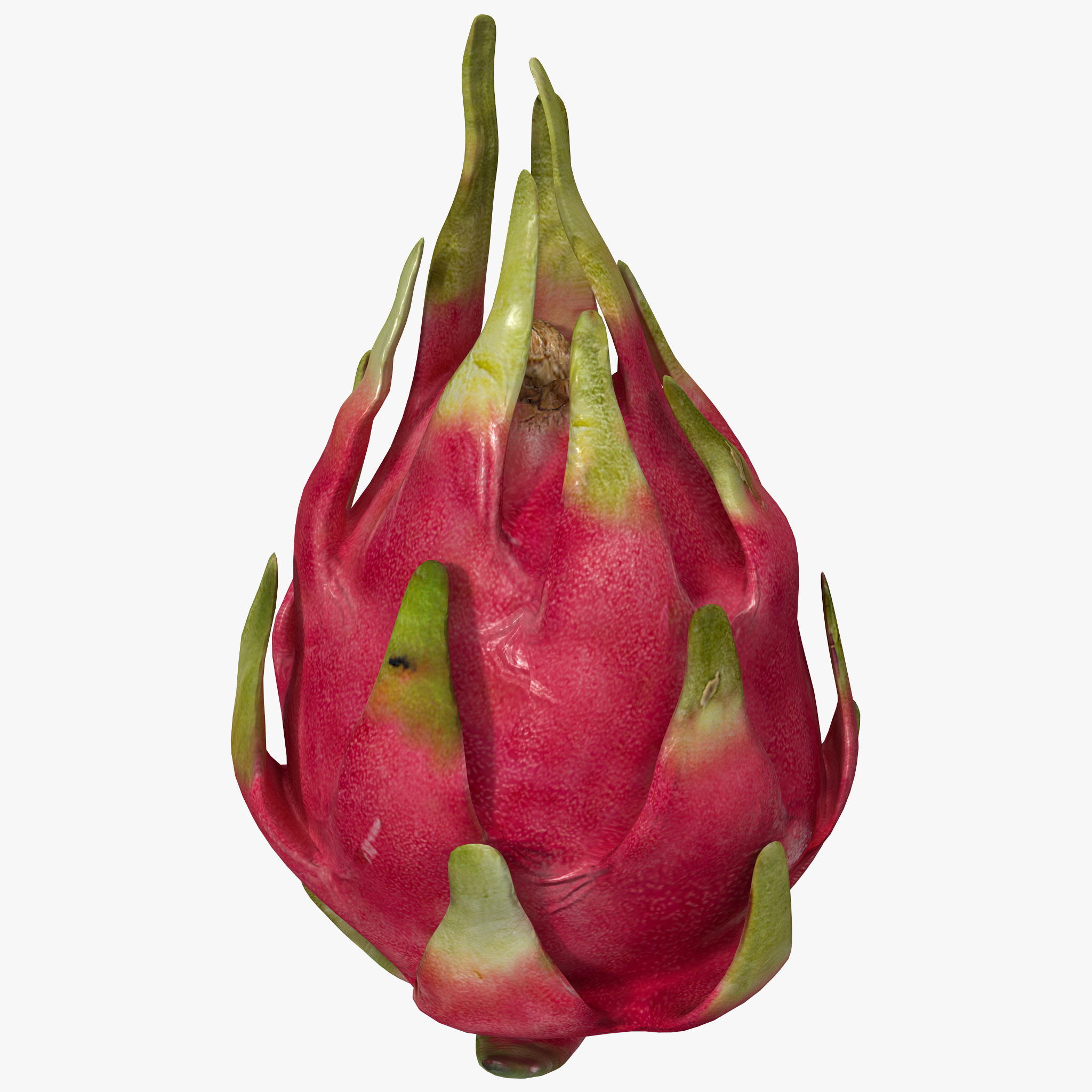 3d dragonfruit fruit model
