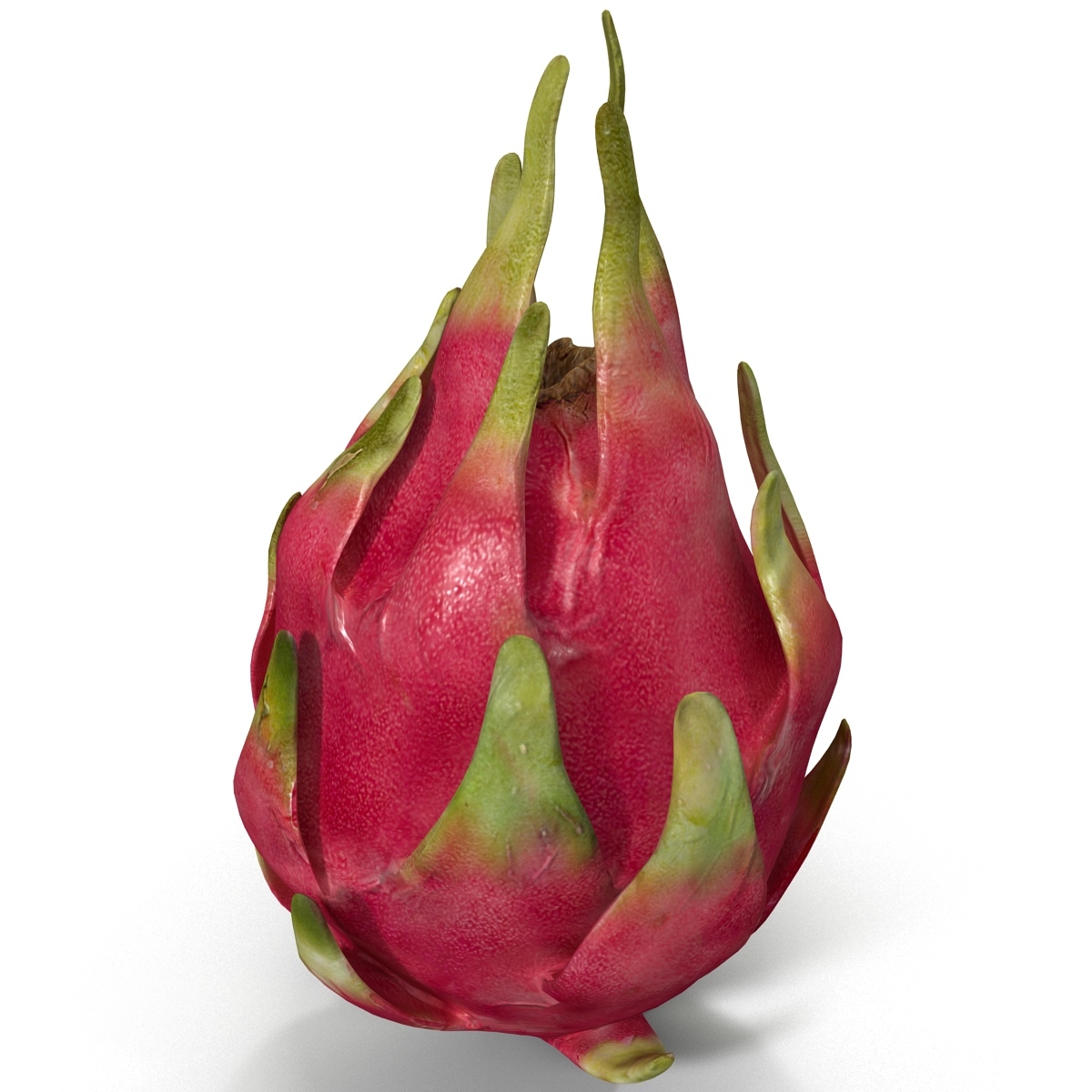 3d dragonfruit fruit model