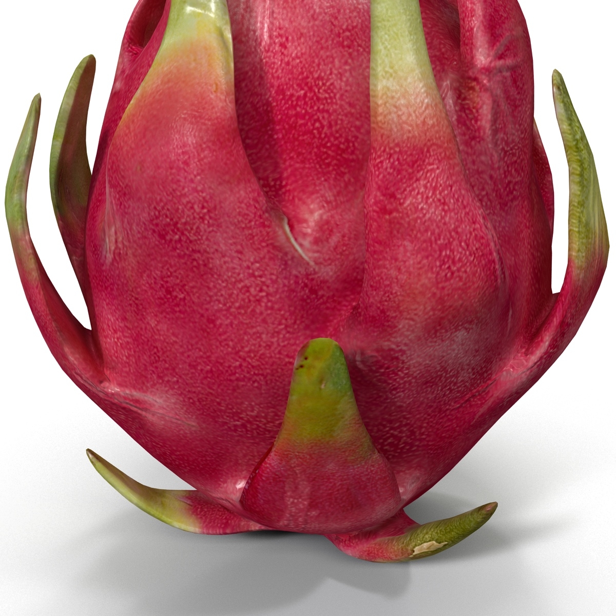 3d dragonfruit fruit model