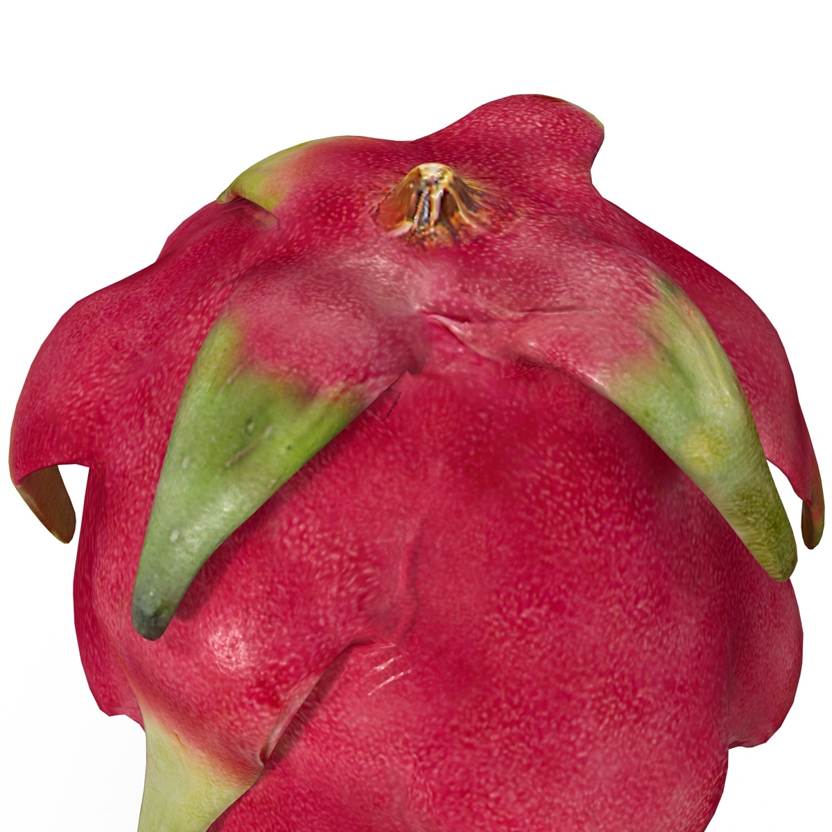 3d dragonfruit fruit model