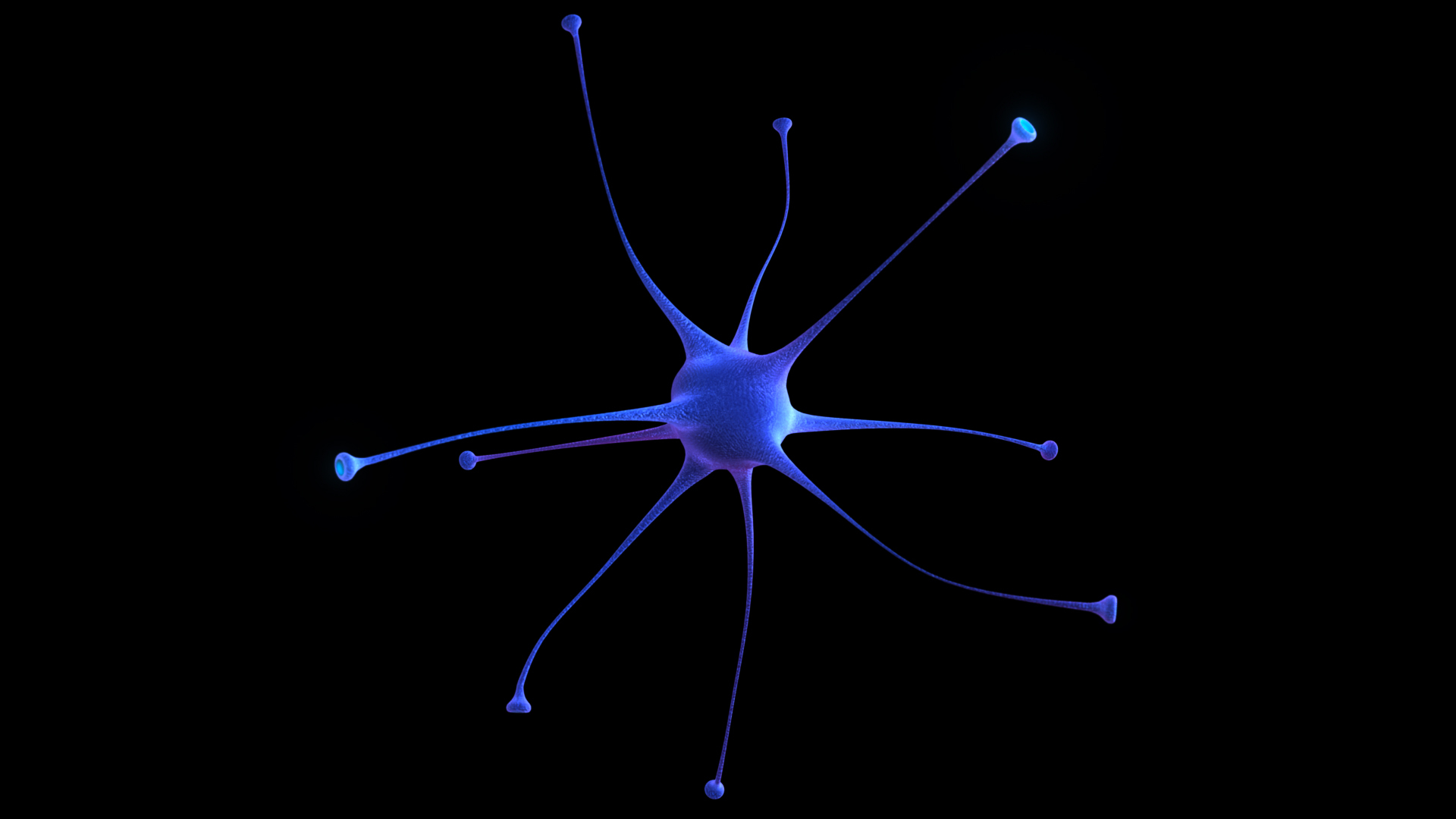 3d neuron model