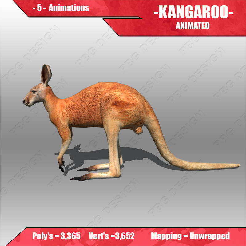 3d kangaroo animations model