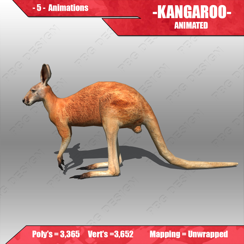 3d kangaroo animations model