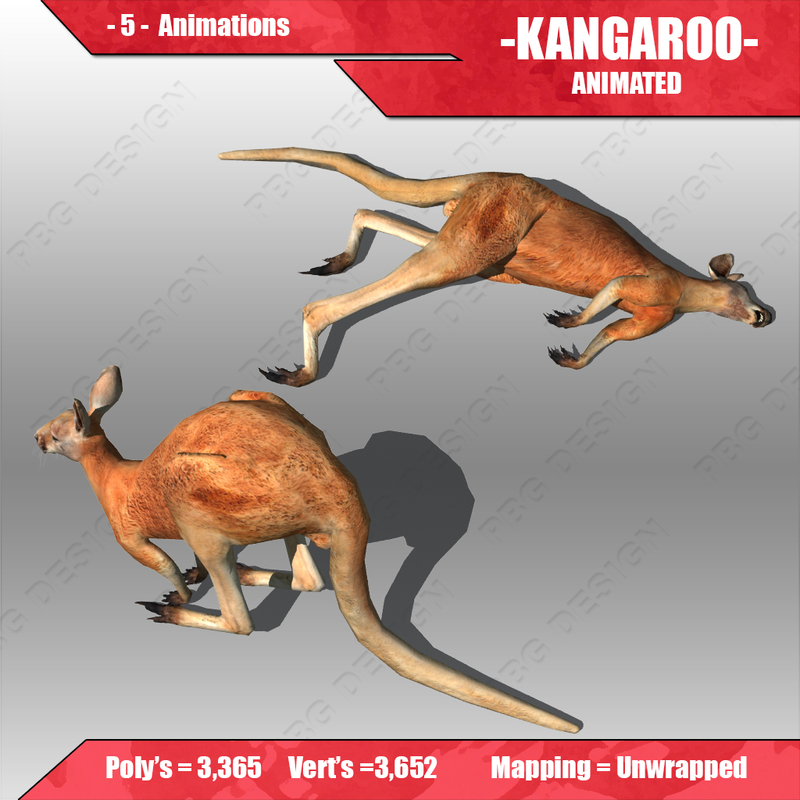 modelo 3d Canguro Animado - TurboSquid 790898