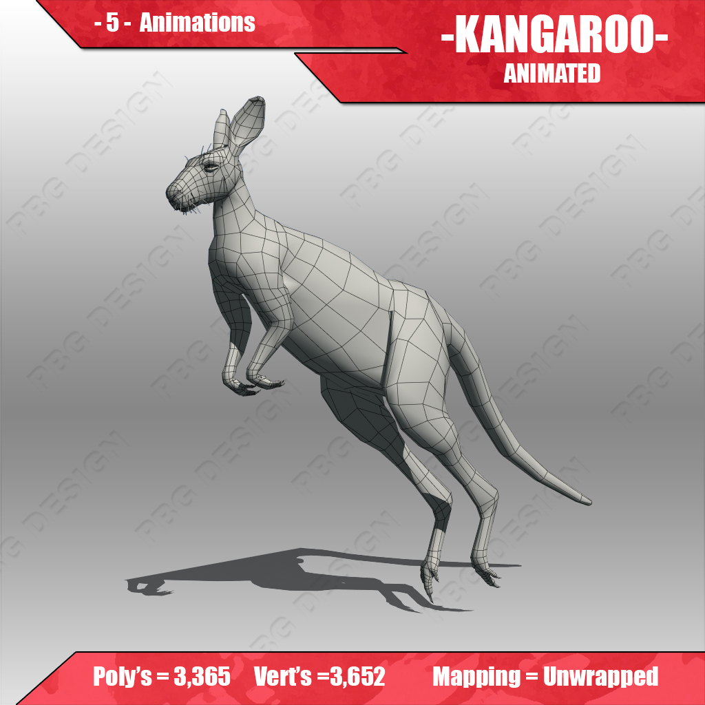 3d kangaroo animations model