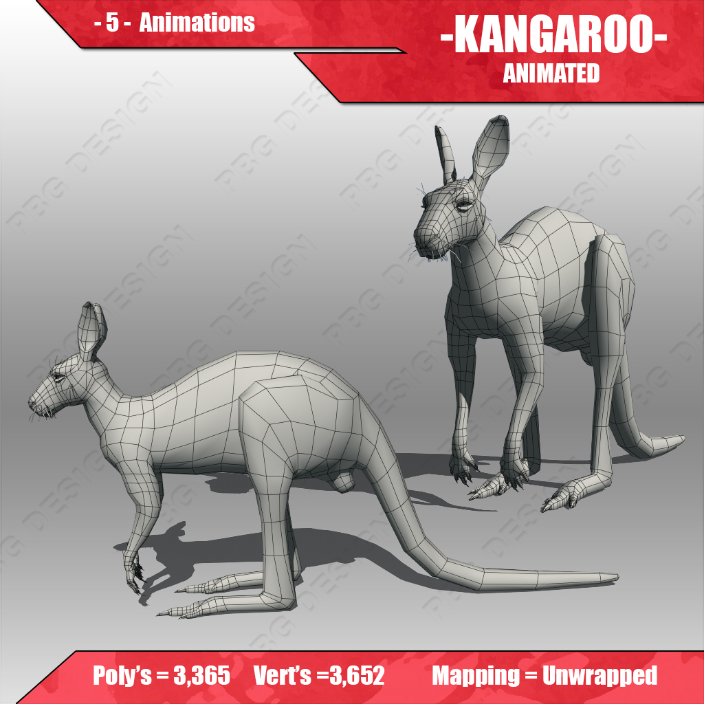 3d kangaroo animations model