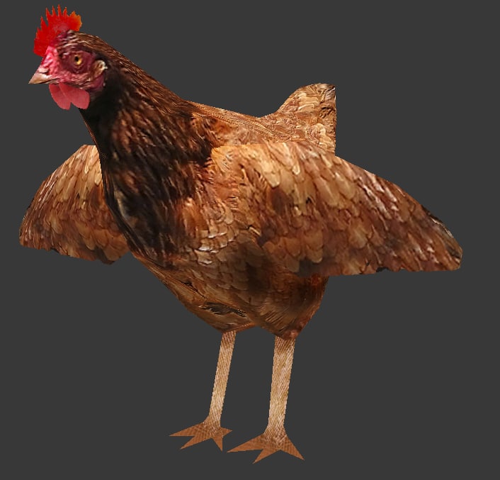 3d chicken chick