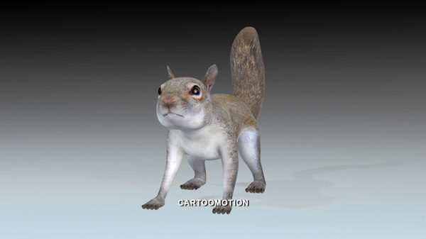fox squirrels 3d model