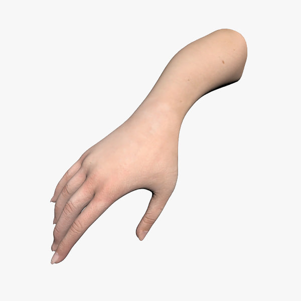 3ds max cartoon hand