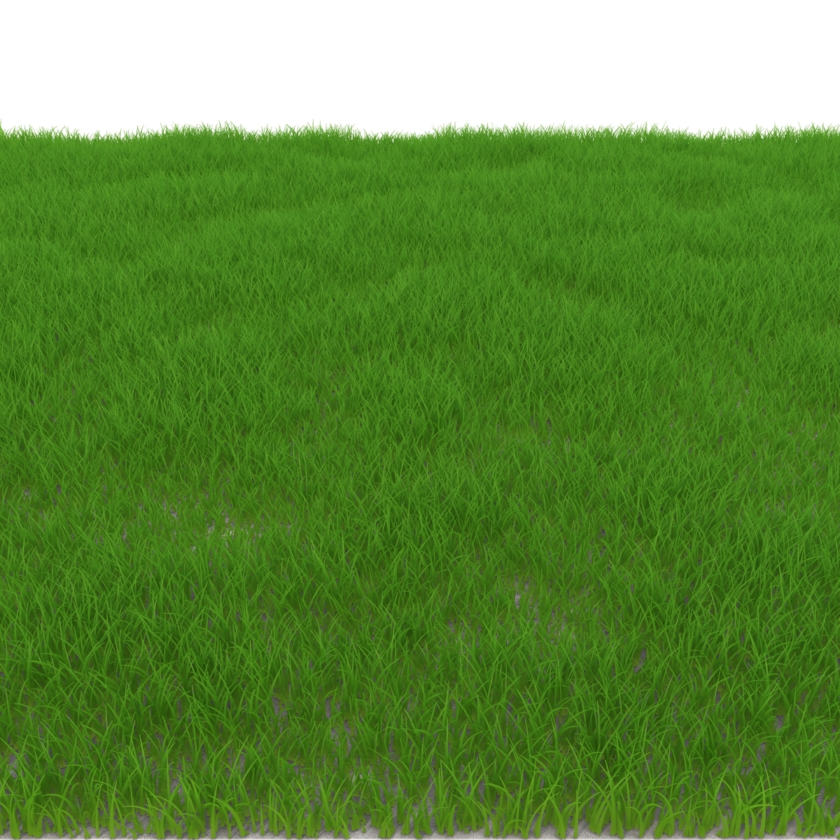 3d rectangular grass patch