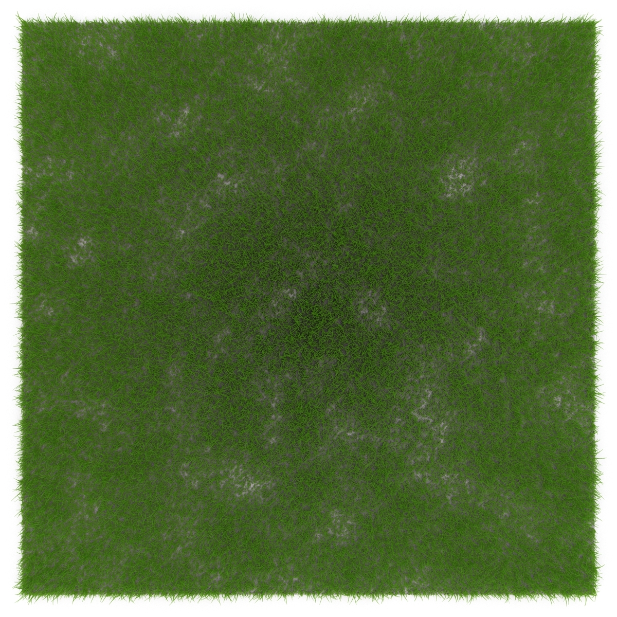 3d rectangular grass patch