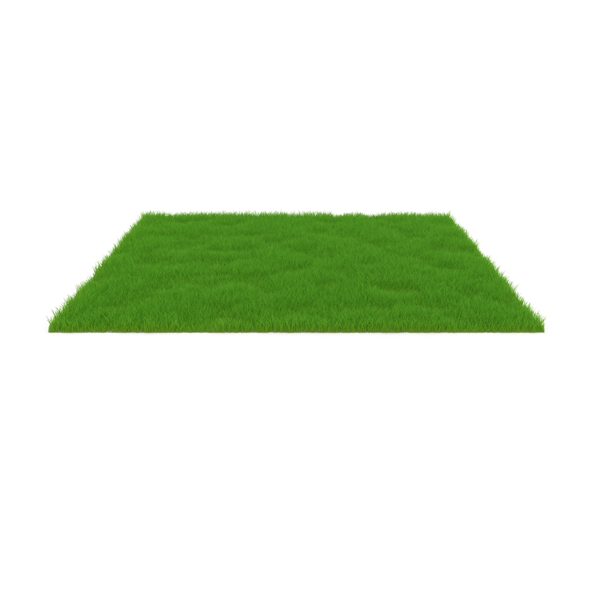 3d rectangular grass patch