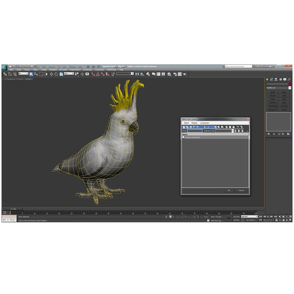 tropical bird 3d c4d