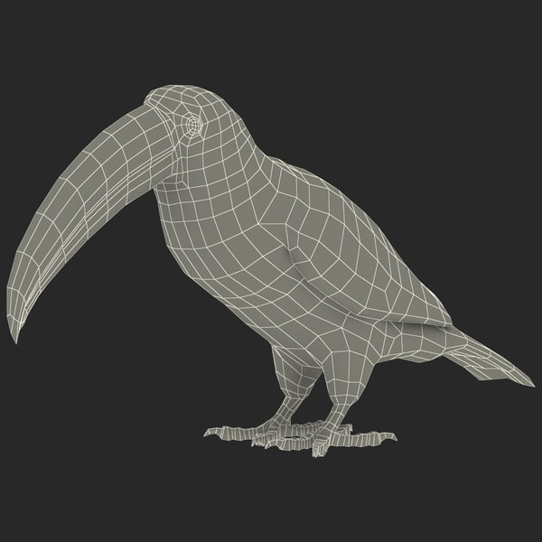 tropical bird 3d c4d