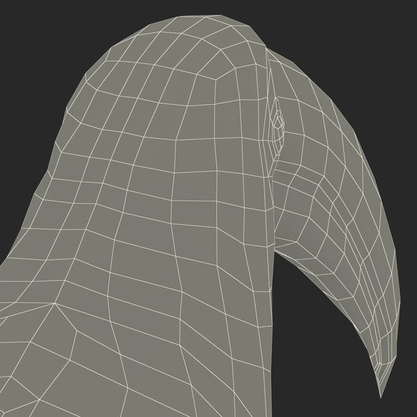 tropical bird 3d c4d