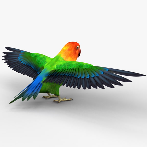 tropical bird 3d c4d