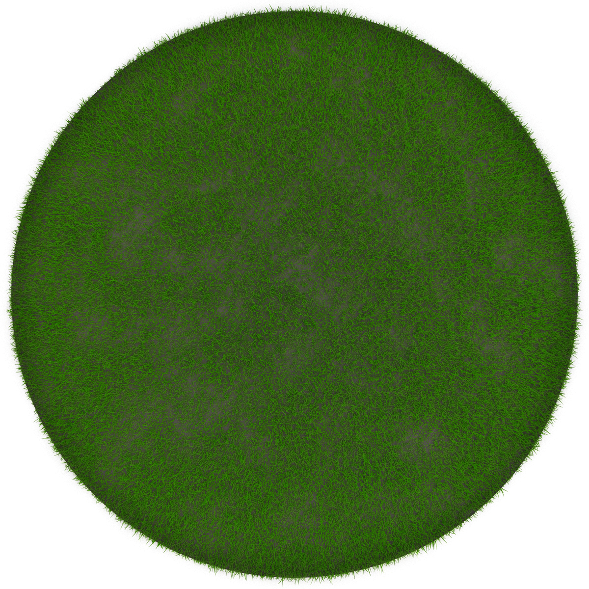 Circular Grass Patch Max