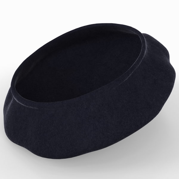 french hat beret 3d model