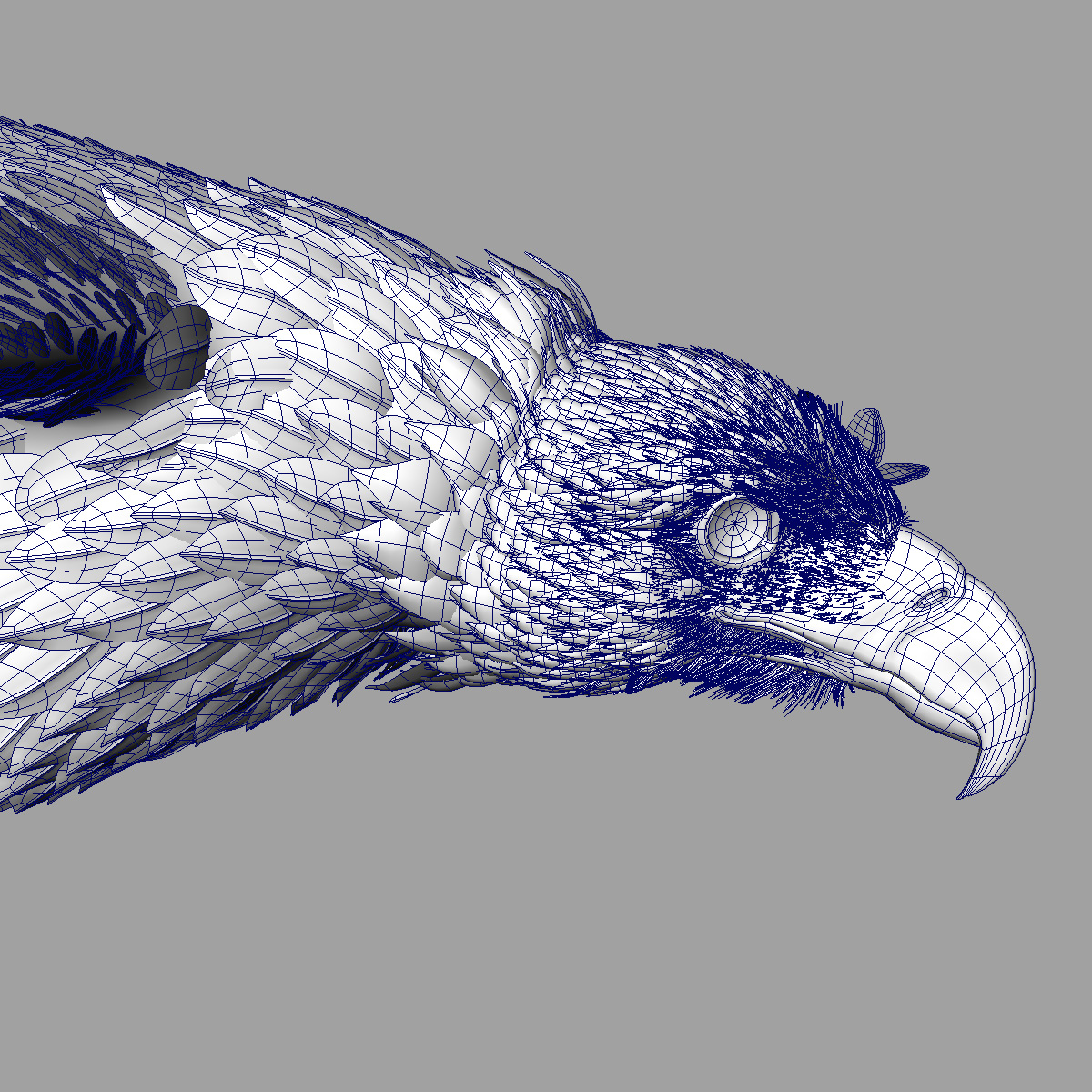 3d model realistic bald eagle