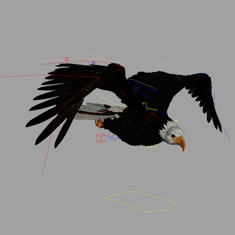 3d model realistic bald eagle