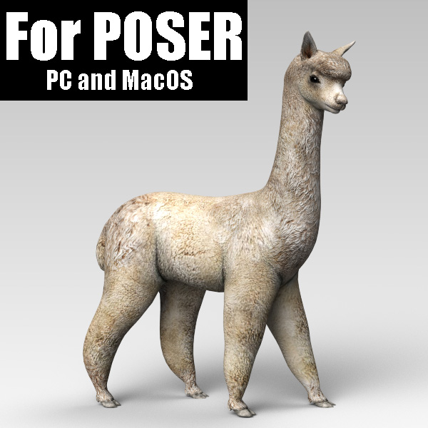 Free 3D Poser Models | TurboSquid