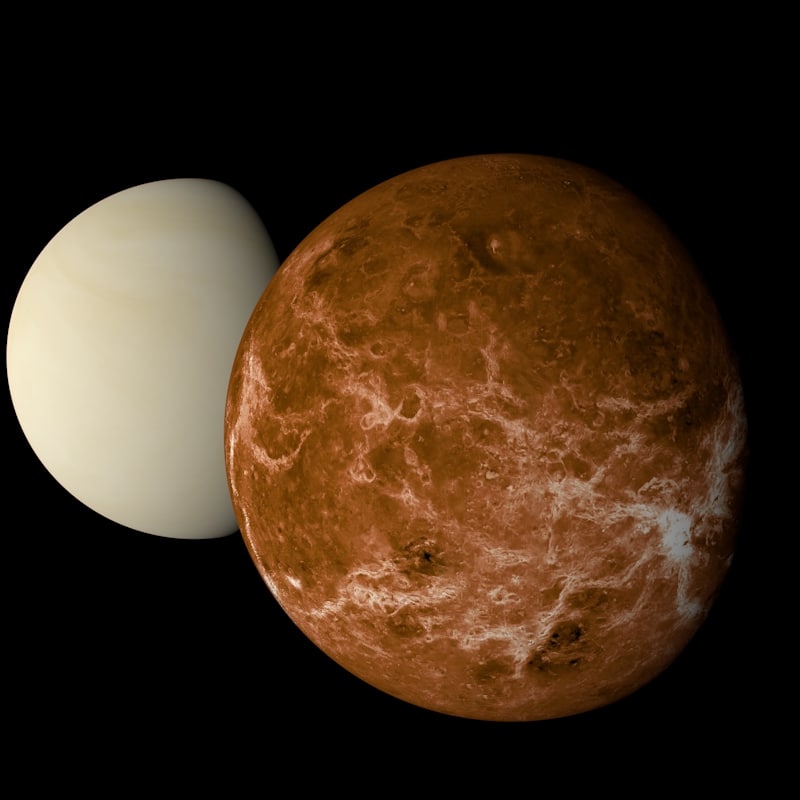 3d photorealistic venus