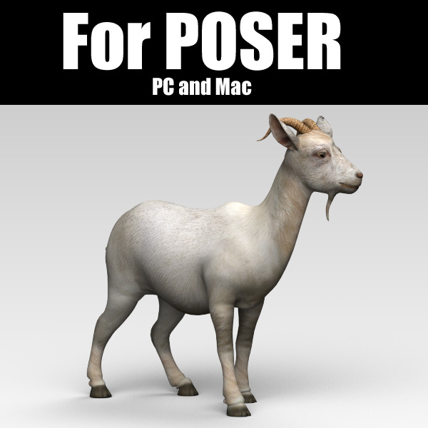 Goat 3D Models for Download | TurboSquid
