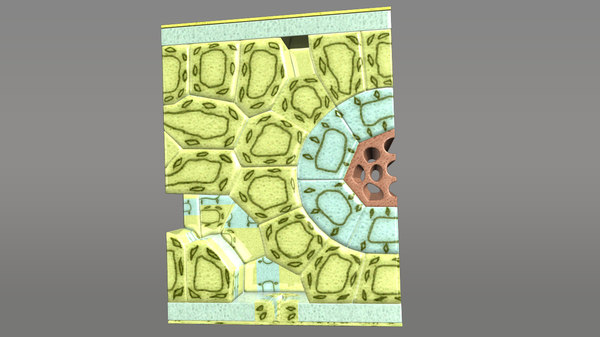 3d model leaf leaves