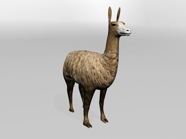 3d model llama lama