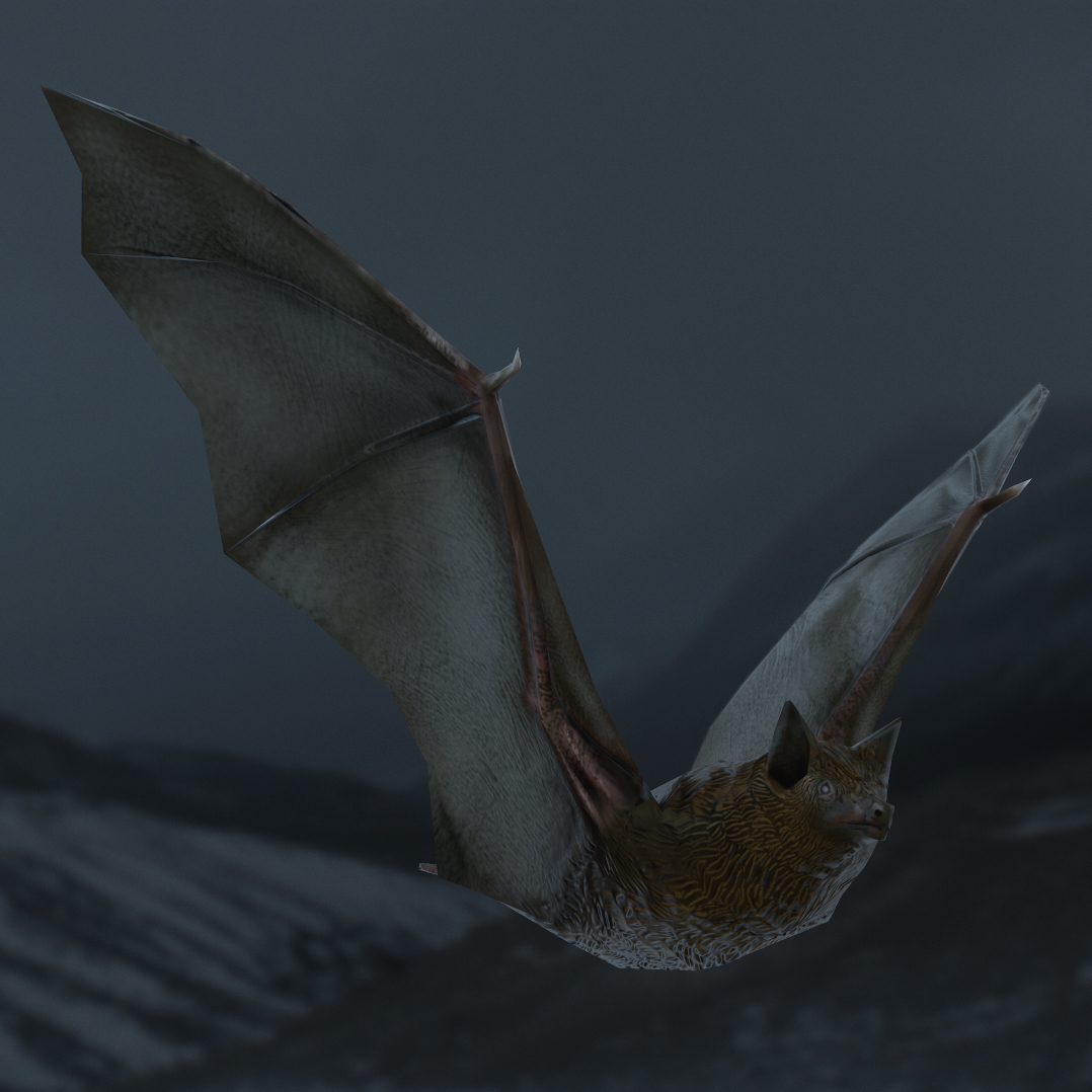 3d model rigged bat animations