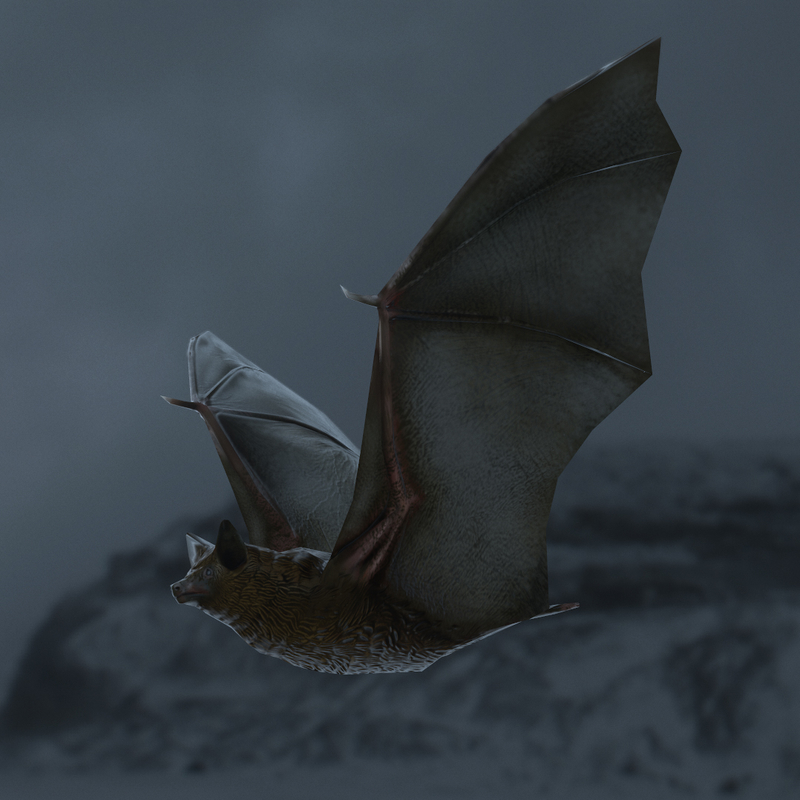 3d model rigged bat animations