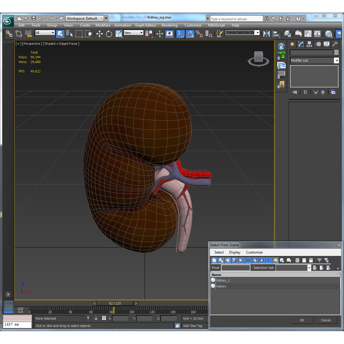 3d model of kidney display modeled