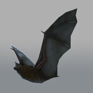 Bat 3D Models for Download | TurboSquid