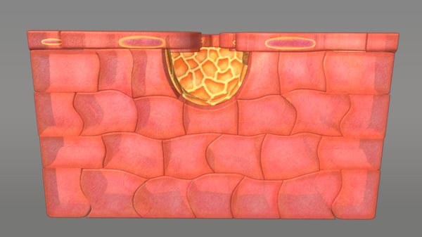 3D neural tissue model - TurboSquid 1261525