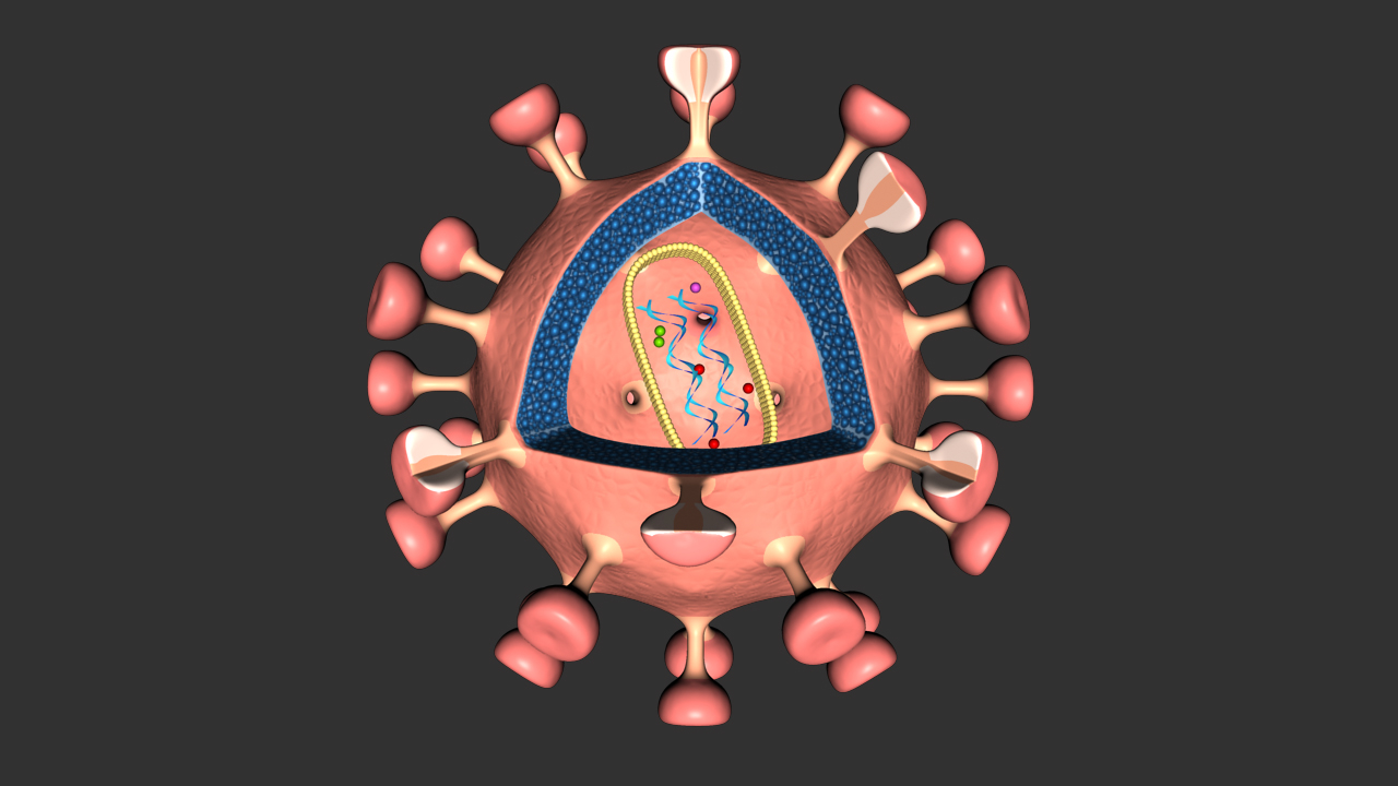 hiv virus 3d model