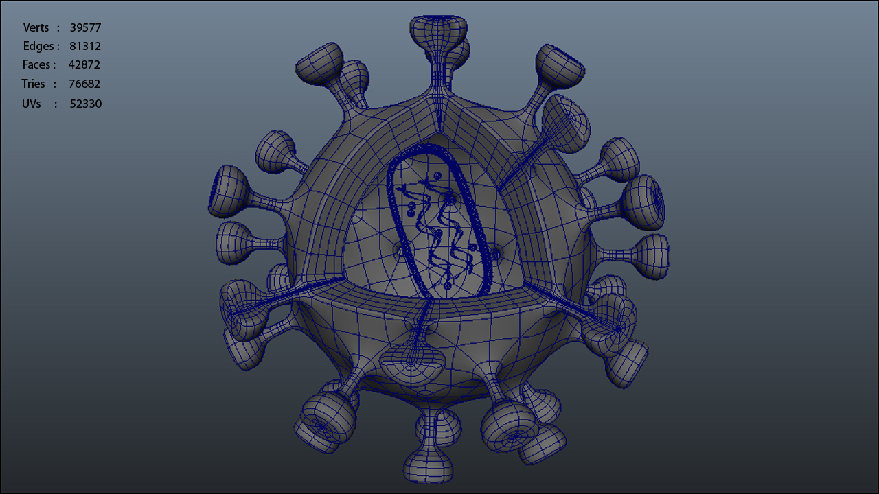 hiv virus 3d model