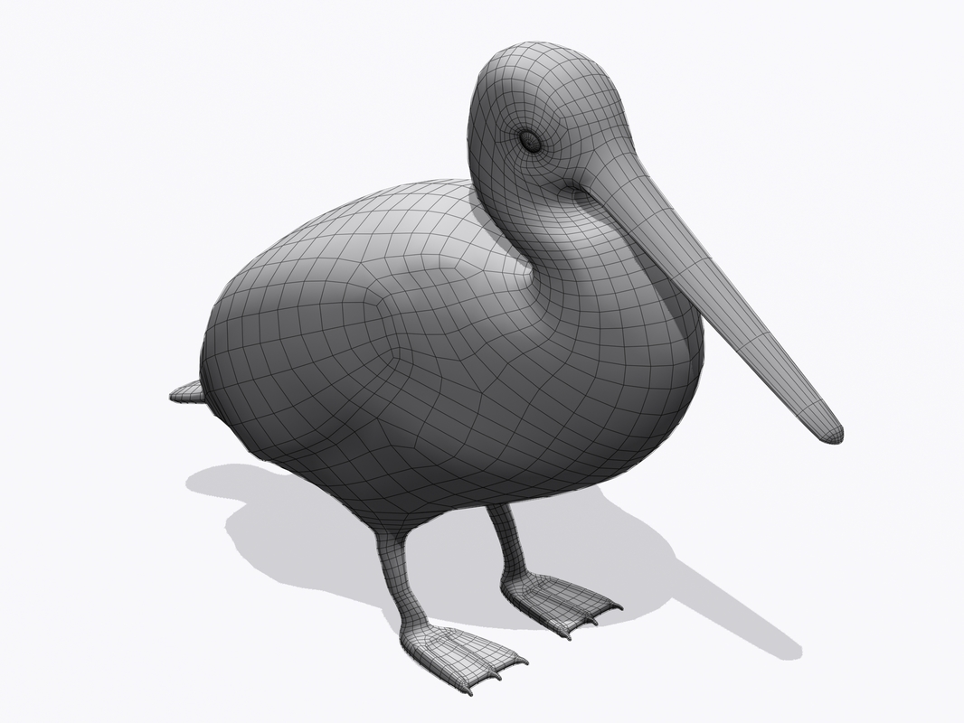 3d model pelican