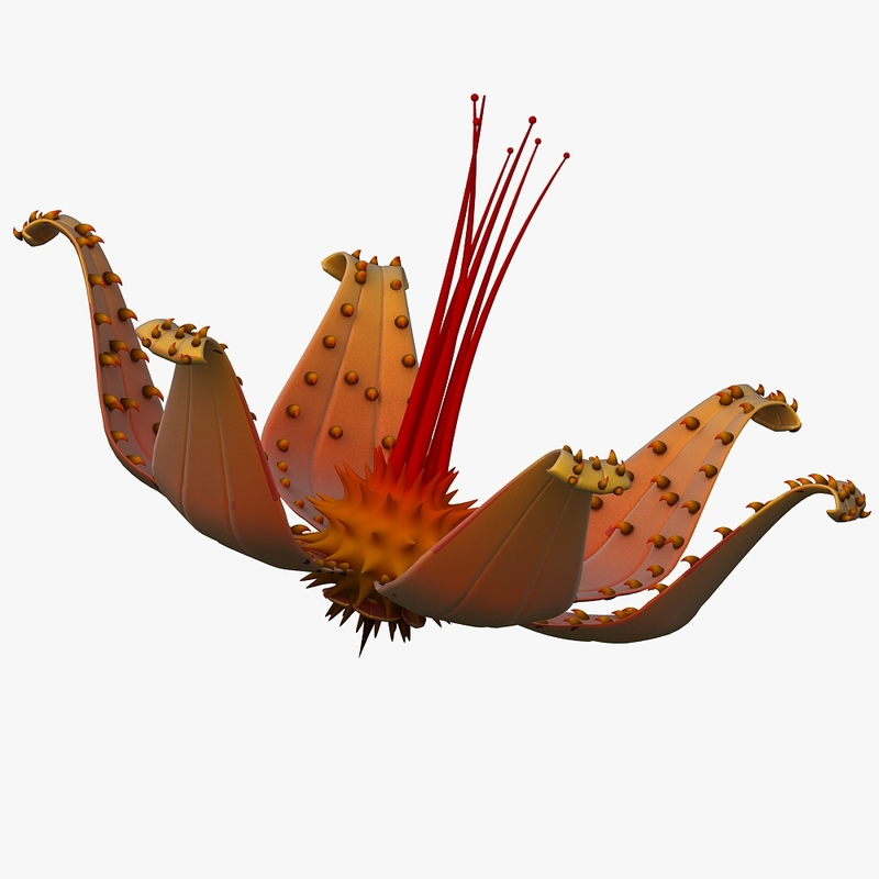 3ds max flower monster